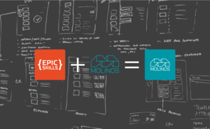 Учредитель Molinos инвестировал средства в развитие Epic Skills — блог ...